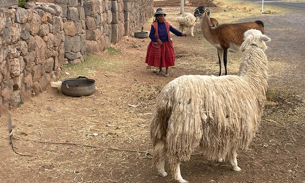 Palve | Ajaleht Eesti Kirik