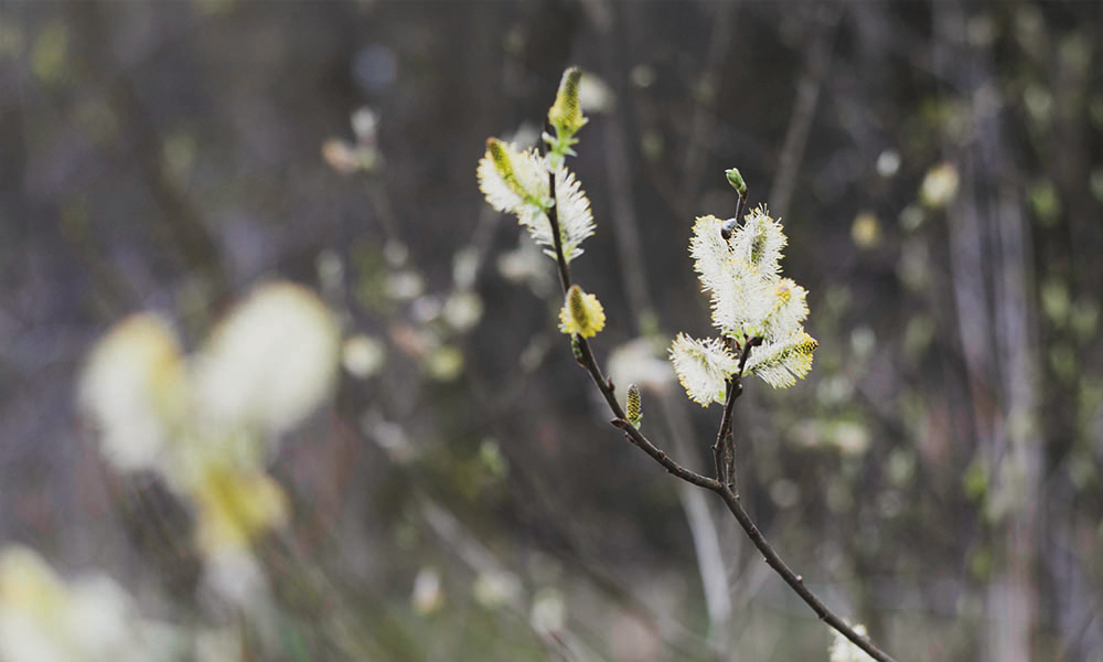 29. september: mihklipäev | Ajaleht Eesti Kirik