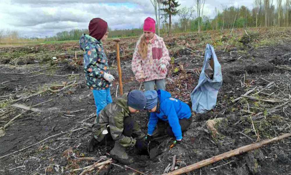 Majandades metsa – kasvatades kogudust | Ajaleht Eesti Kirik
